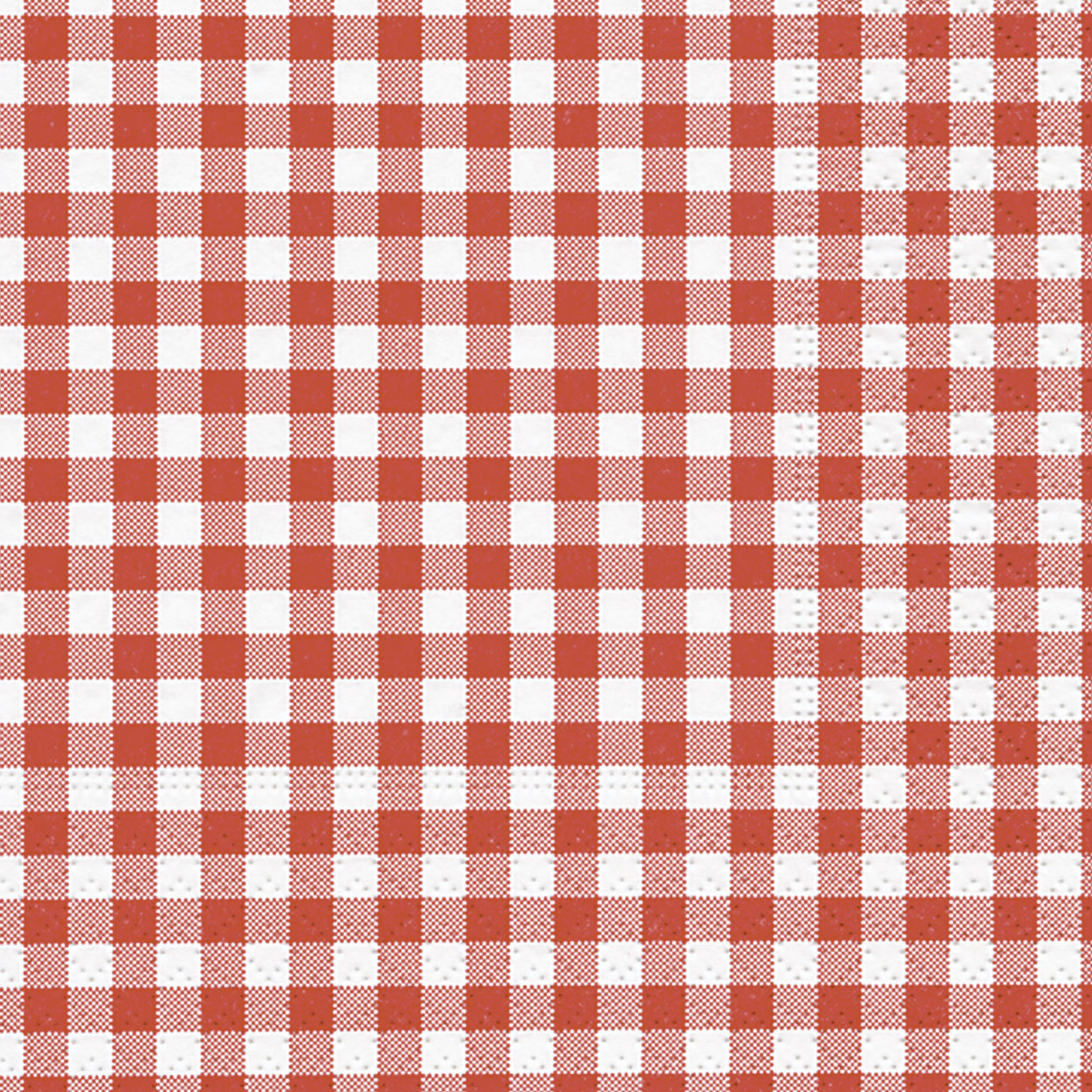 Vichy Red 24cm Napkin - NJ Products : NJ Products